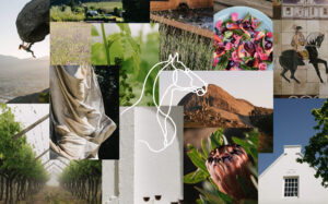 Optenhorst Estate – Where Estate Living Meets Convenience